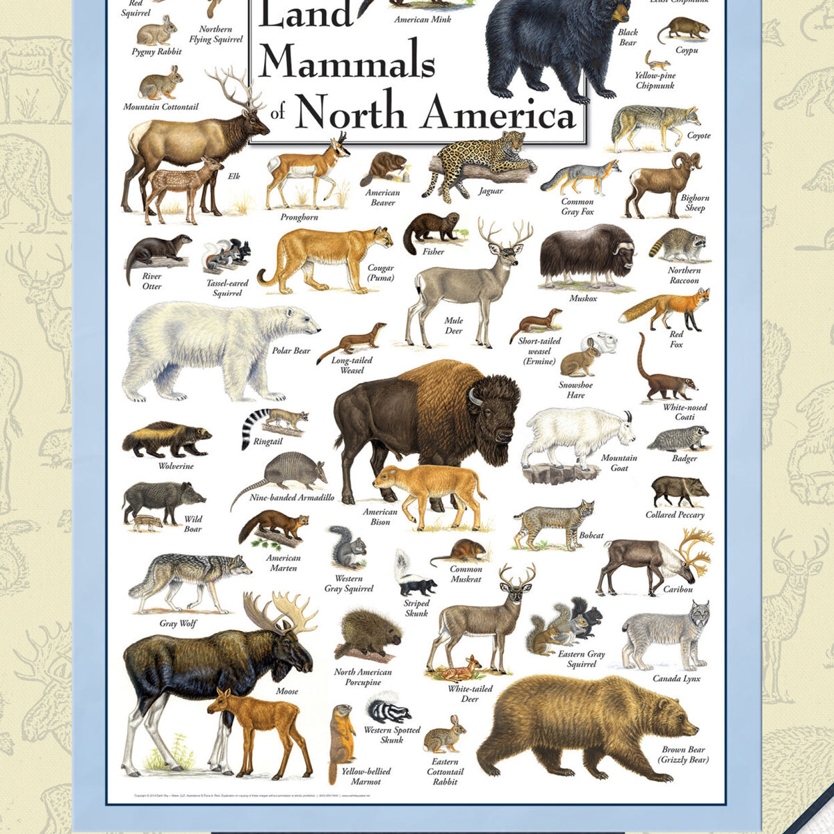 Field Guide - Land Mammals of North America 1000pc Puzzle – Toys on the ...