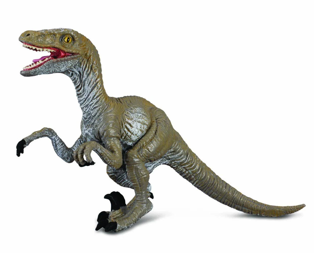 Collecta Velociraptor – Toys on the Square